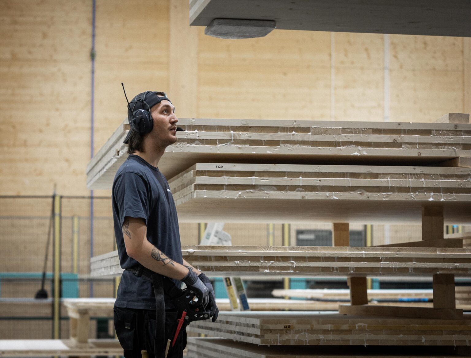 Myter om ulemper med massivtre - Splitkon